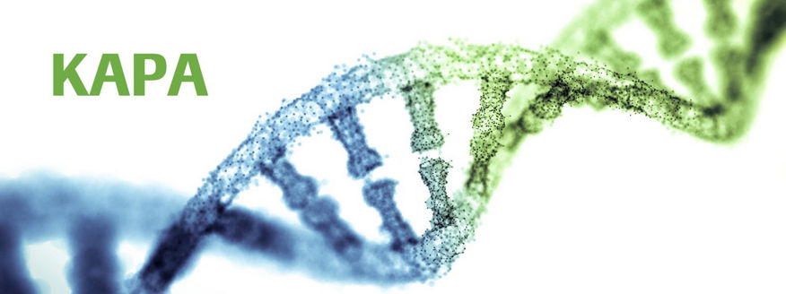 Une gamme de Roche pionnière dans le séquençage de nouvelle génération