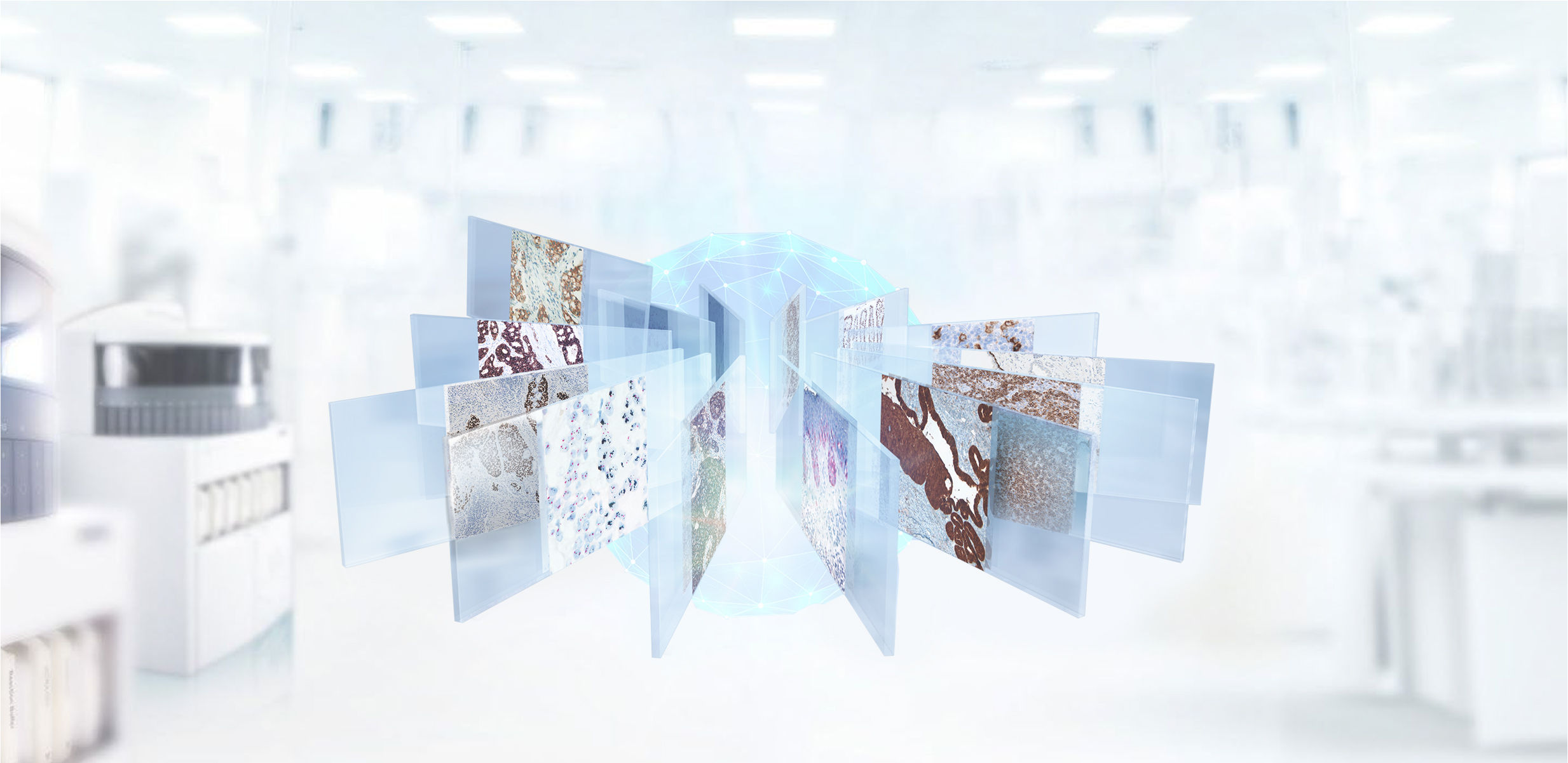 Notre portfolio de tests en IHC (immunohistochimie)