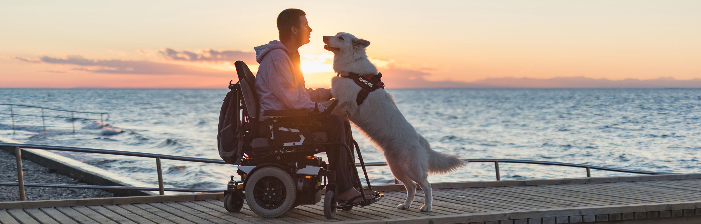 Roche’s Elecsys NfL test, an important aid for those living with ...