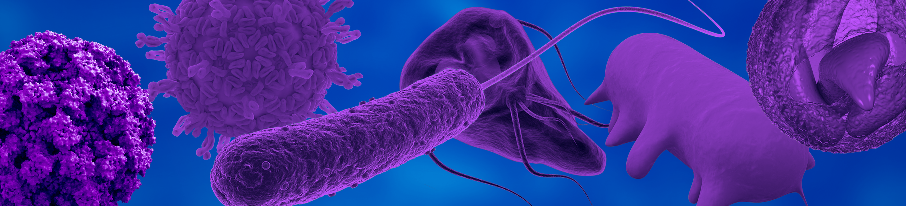 Gastrointestinal (GI) infections