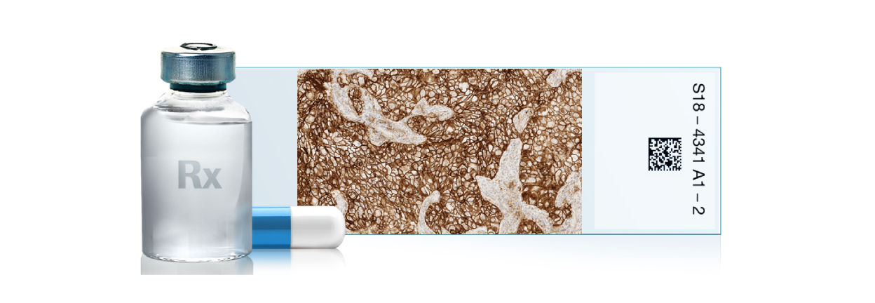 VENTANA® PD-L1 (SP263) Assay, CE-IVD