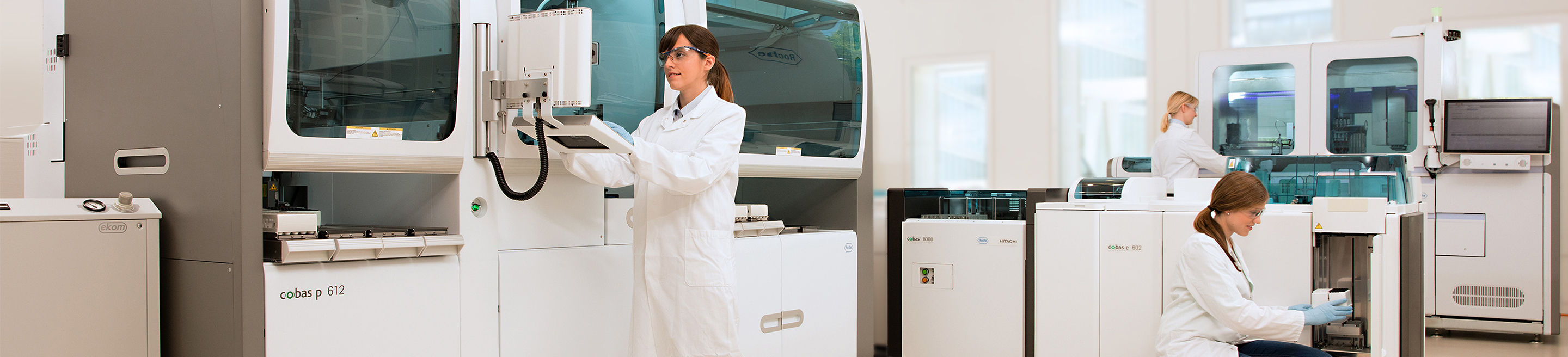 Roche Sistem Portföyü