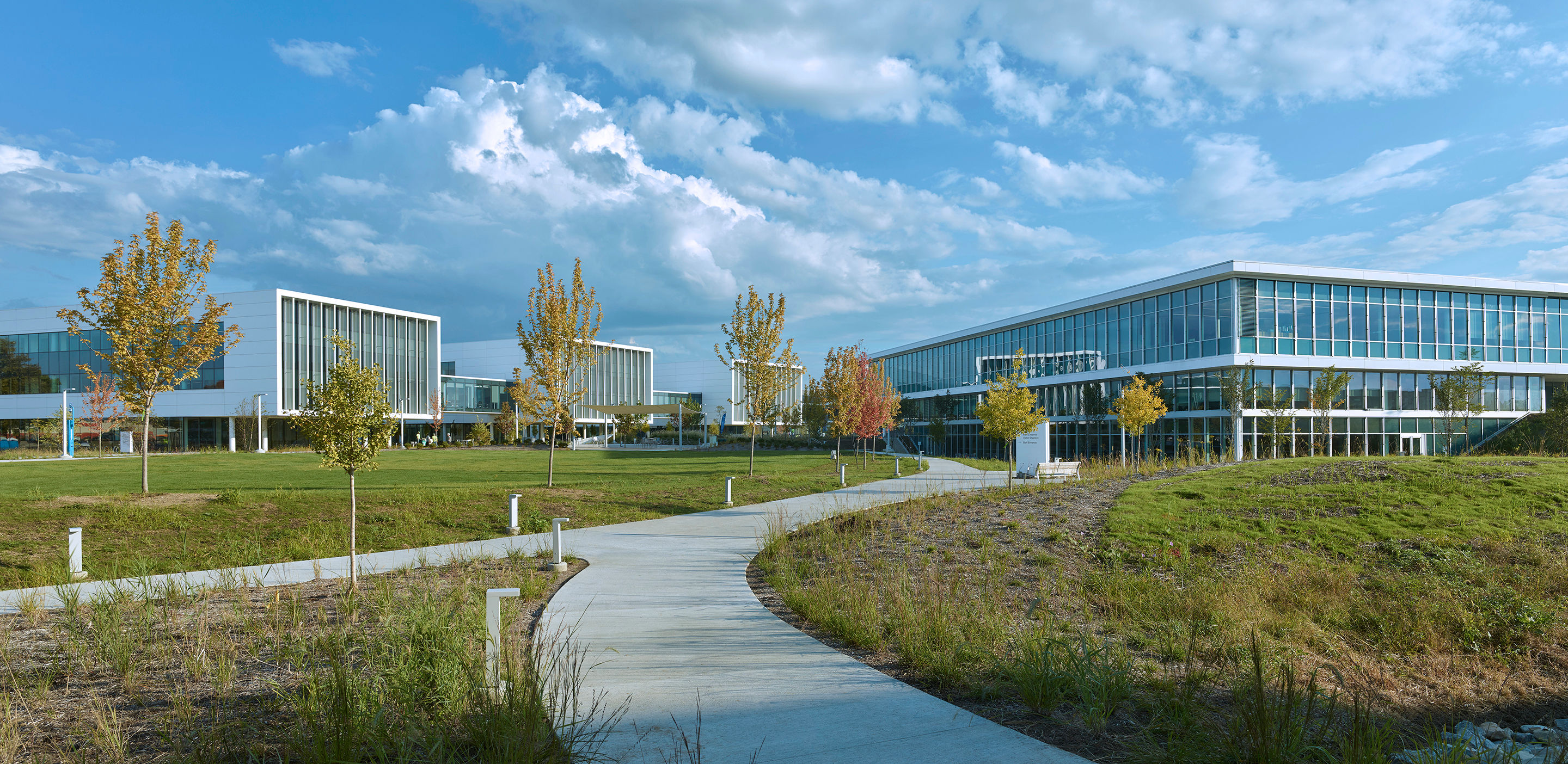 Roche announces Brad Moore as president and CEO of Roche Diagnostics ...