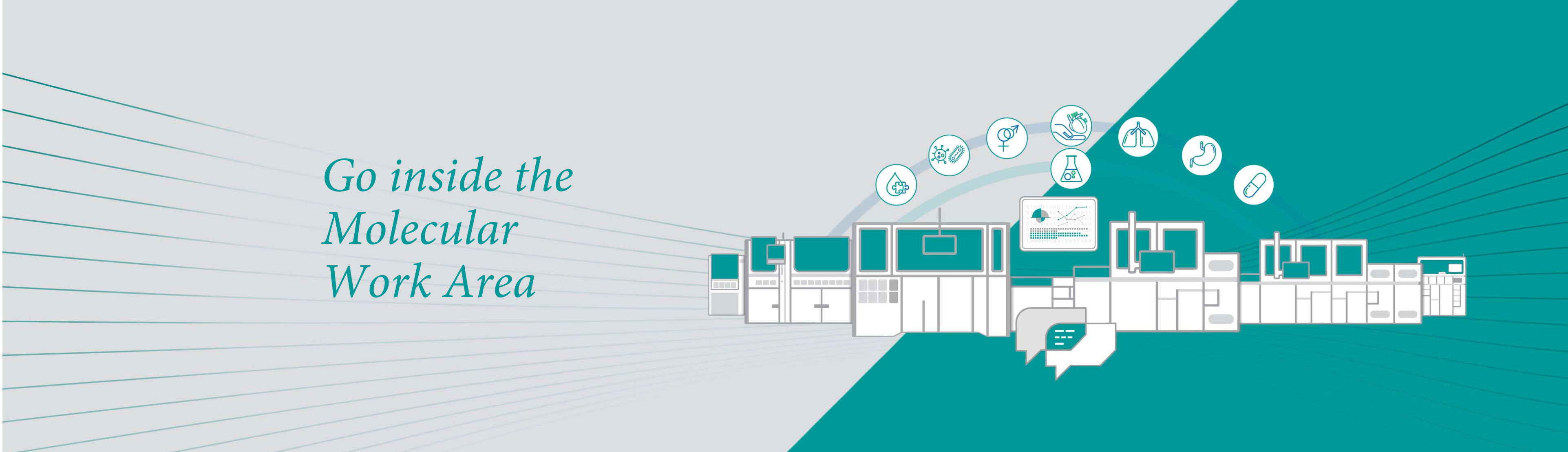 Workflow Efficiency in Molecular Diagnostics