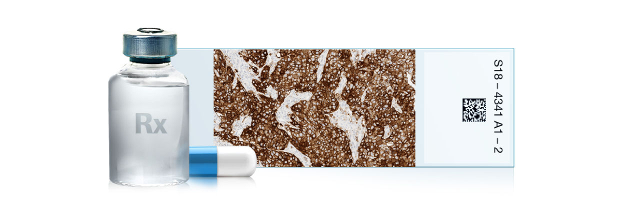 VENTANA® PD-L1 (SP263) Assay, US-FDA