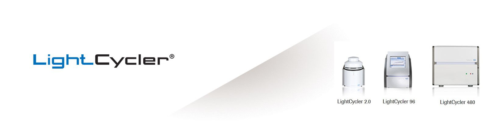 Lightcycler