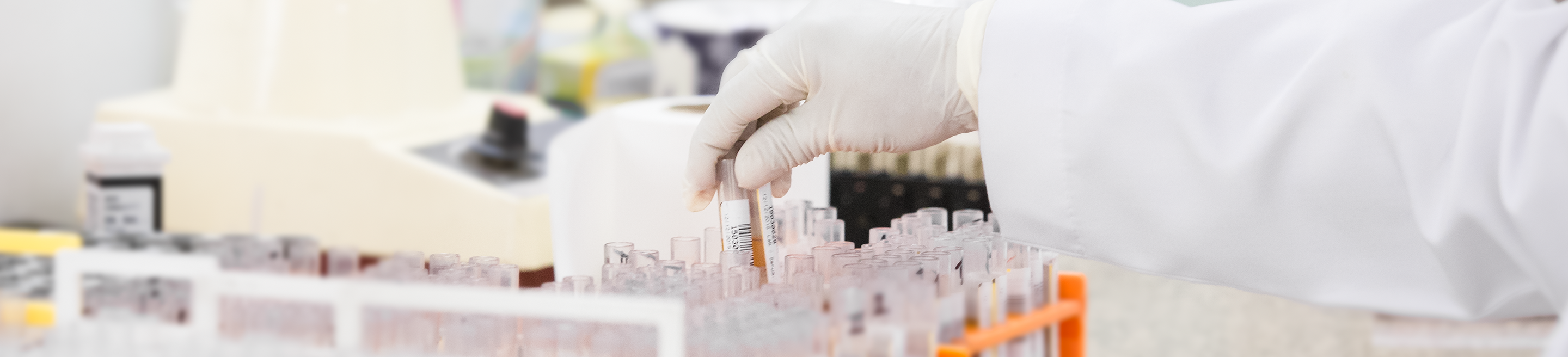 Roche Diagnostics - Transforming the way diseases can be prevented ...