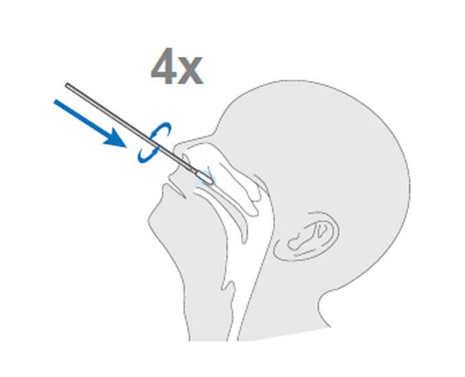 Nasal Swab Collection Procedure