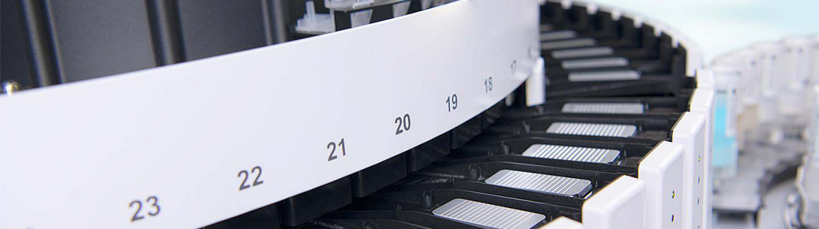 BenchMark ULTRA PLUS