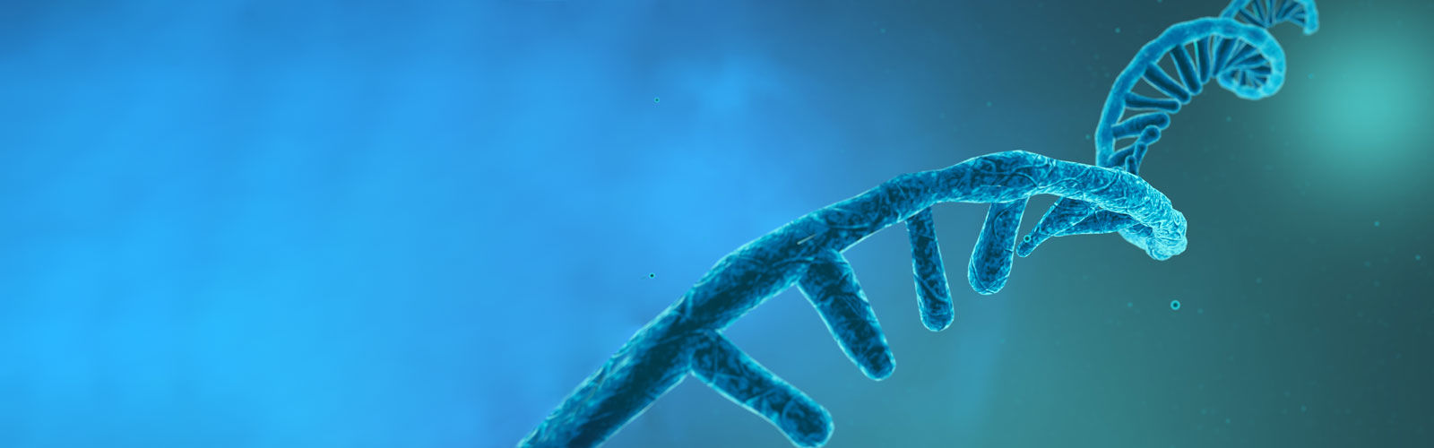 Modulating the effectiveness of mRNA therapies using modified ...