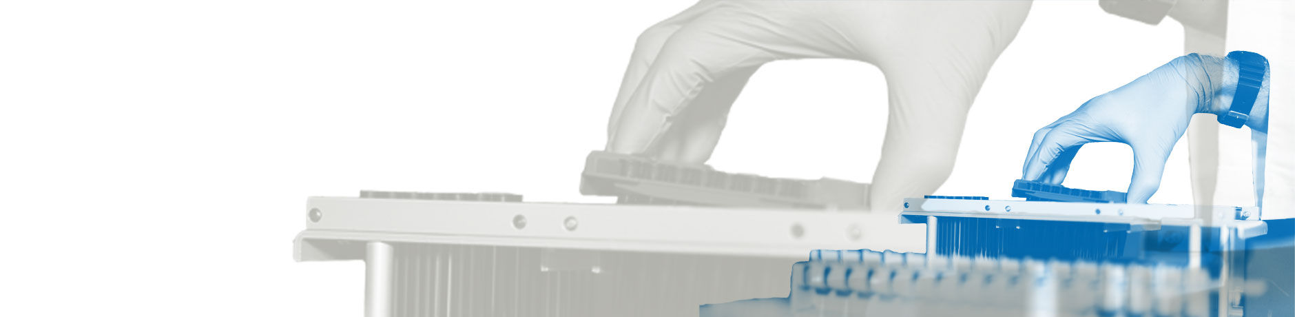 NGS Sample Preparation Reagents