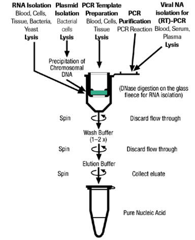 High Pure Technology and Silica Adsorption Kits