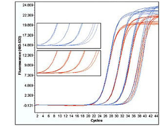 LightCycler® 480 System Reagents