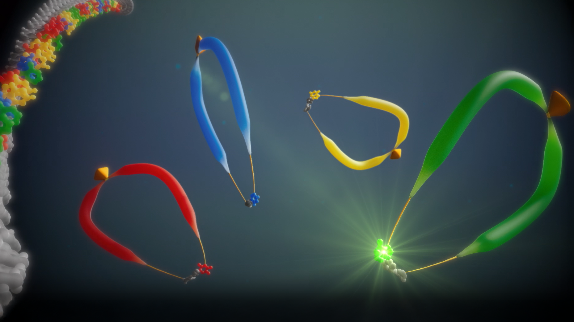 Sequencing by Expansion SBX | Nanopore sequencing