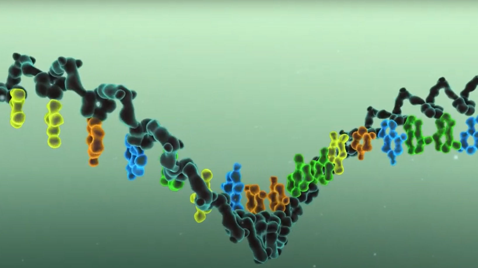 Sequencing by Expansion SBX | Nanopore sequencing
