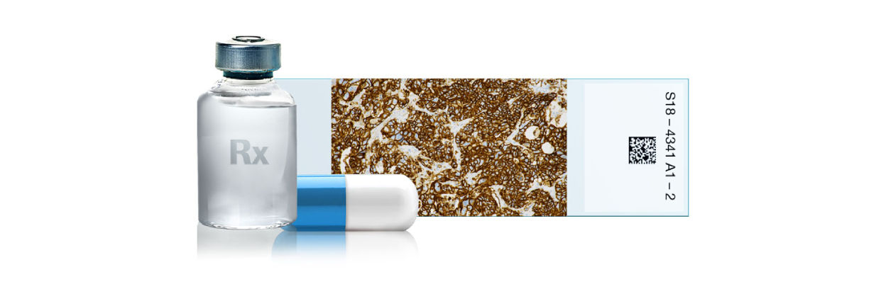 VENTANA® CLDN18 (43-14A) RxDx Assay, US-FDA