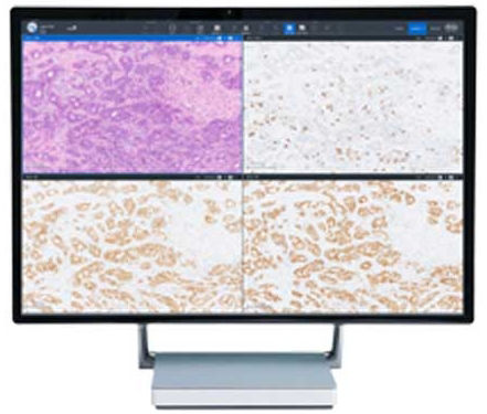 navify® Digital Pathology